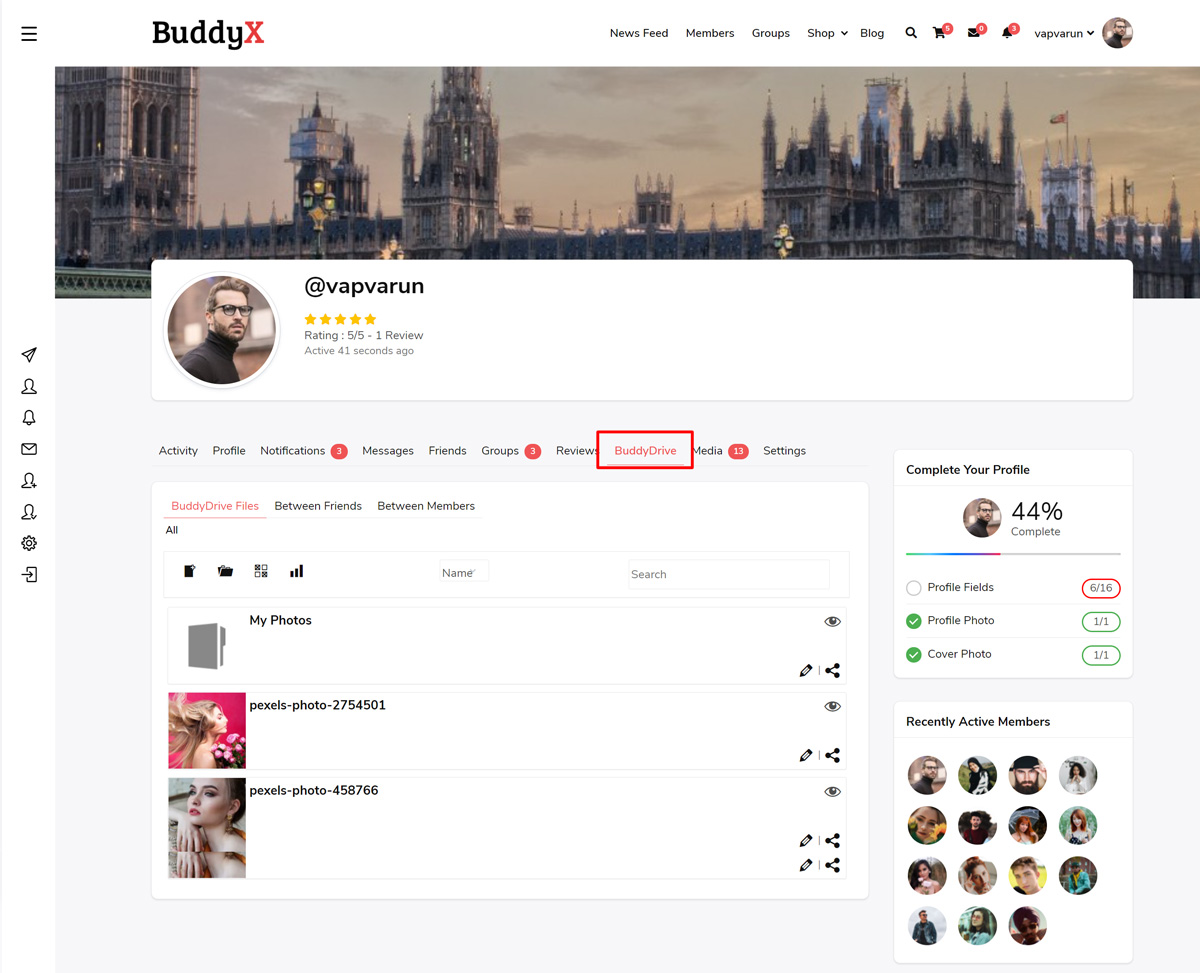 BuddyDrive - BuddyX Theme