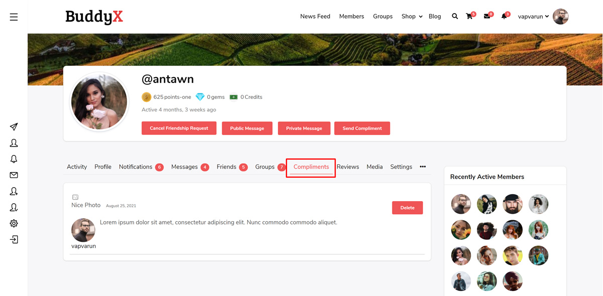 BuddyPress Compliments - BuddyX Theme