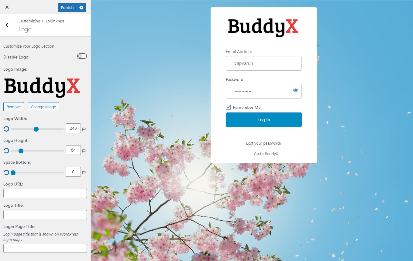 LoginPress - BuddyX Theme