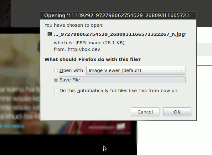 MediaPress Downloadable Media - BuddyX Theme