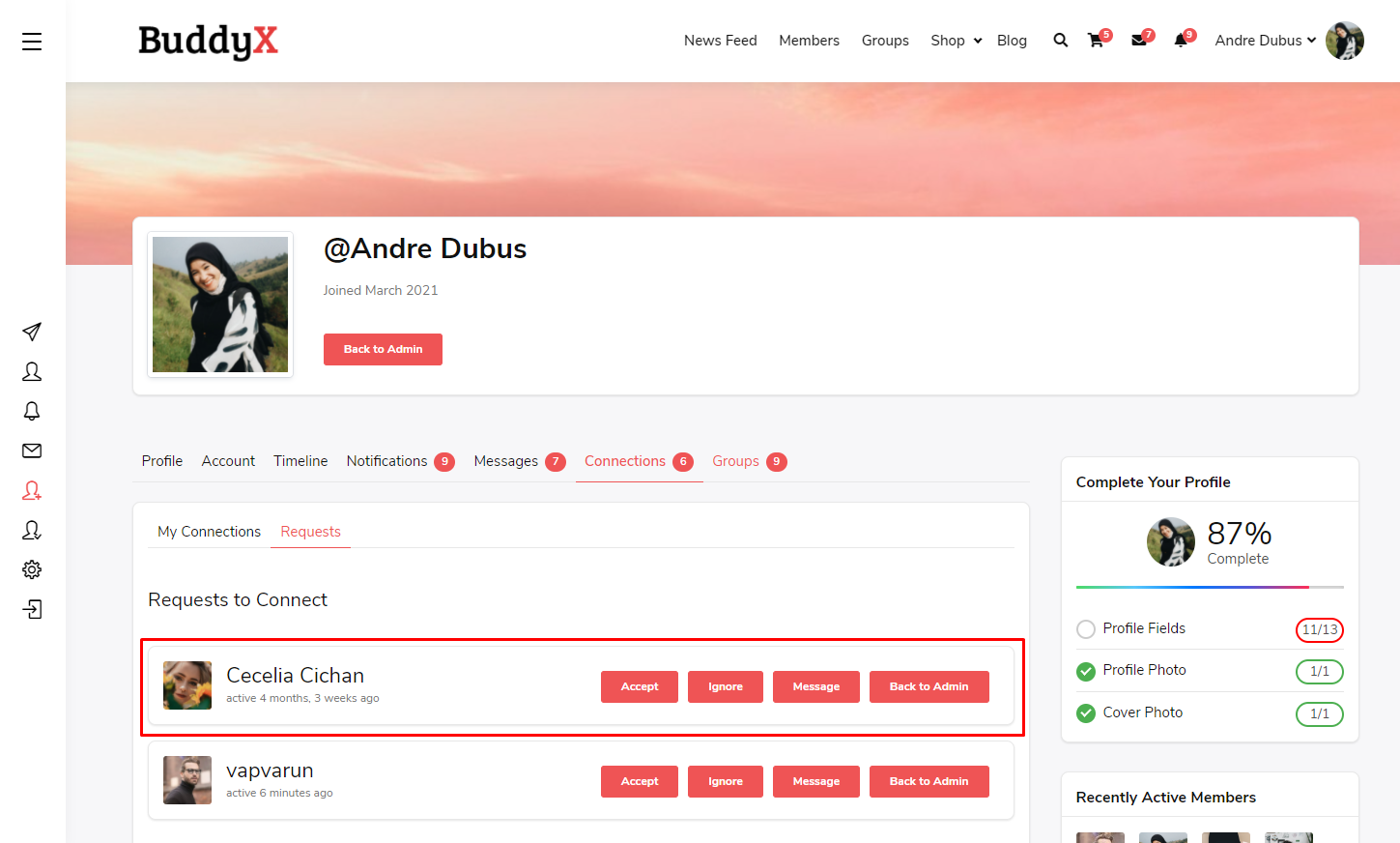 BuddyPress Extended Friendship Request - BuddyX Theme