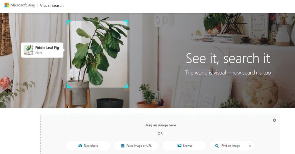 10 Best Reverse Image Search Tools In 2025